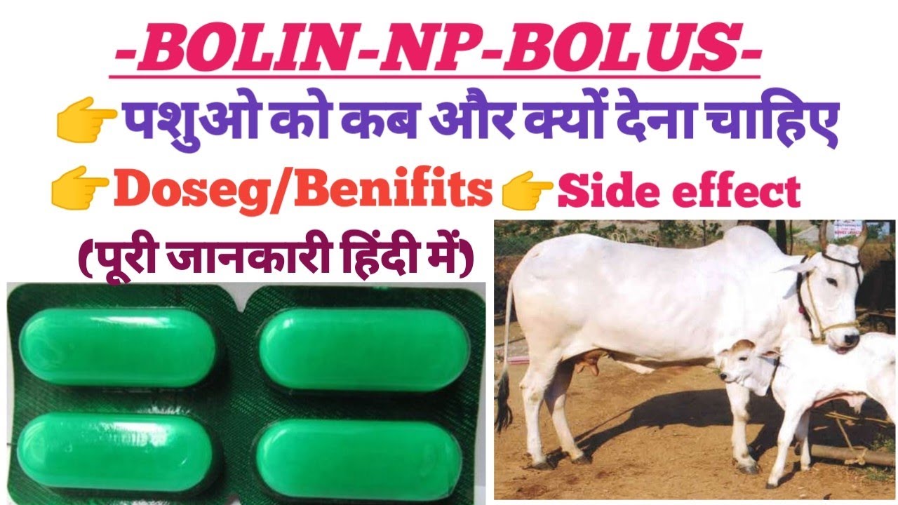 Bolin NP Bolus Tablet use in hindi Nimesulide Paracetamol tablet # ...