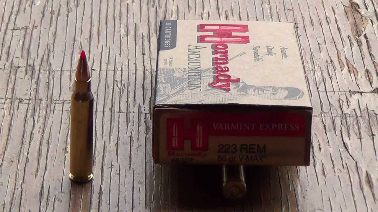 .223 Remington Hornady 55gr V-MAX Review - YouTube