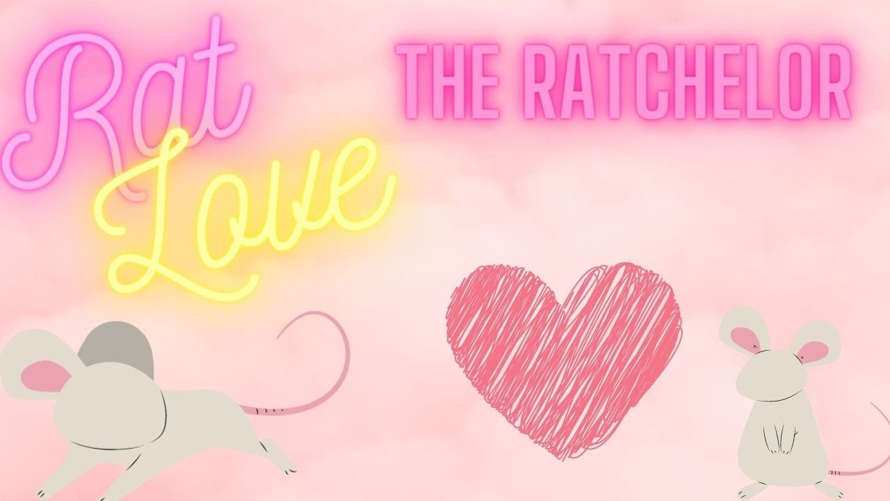The Ratchelor!! - Rat Dating Sim - YouTube