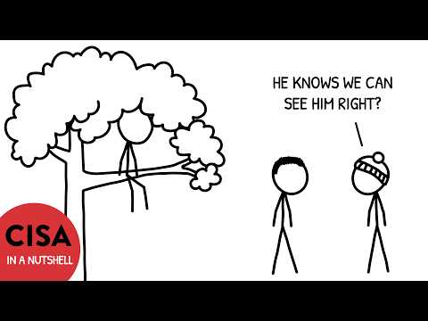 CISA Observation Explained in 2 Minutes | CISA in a Nutshell