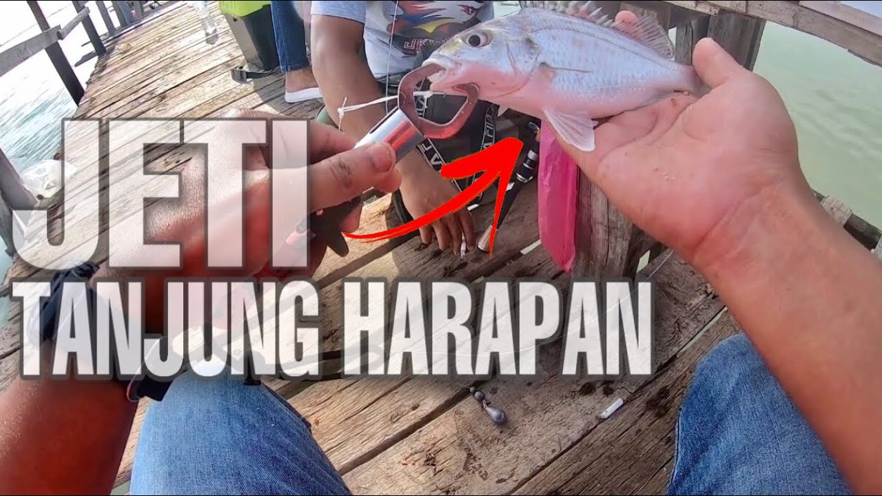 Memancing jeti tanjung harapan Klang Selangor. - YouTube