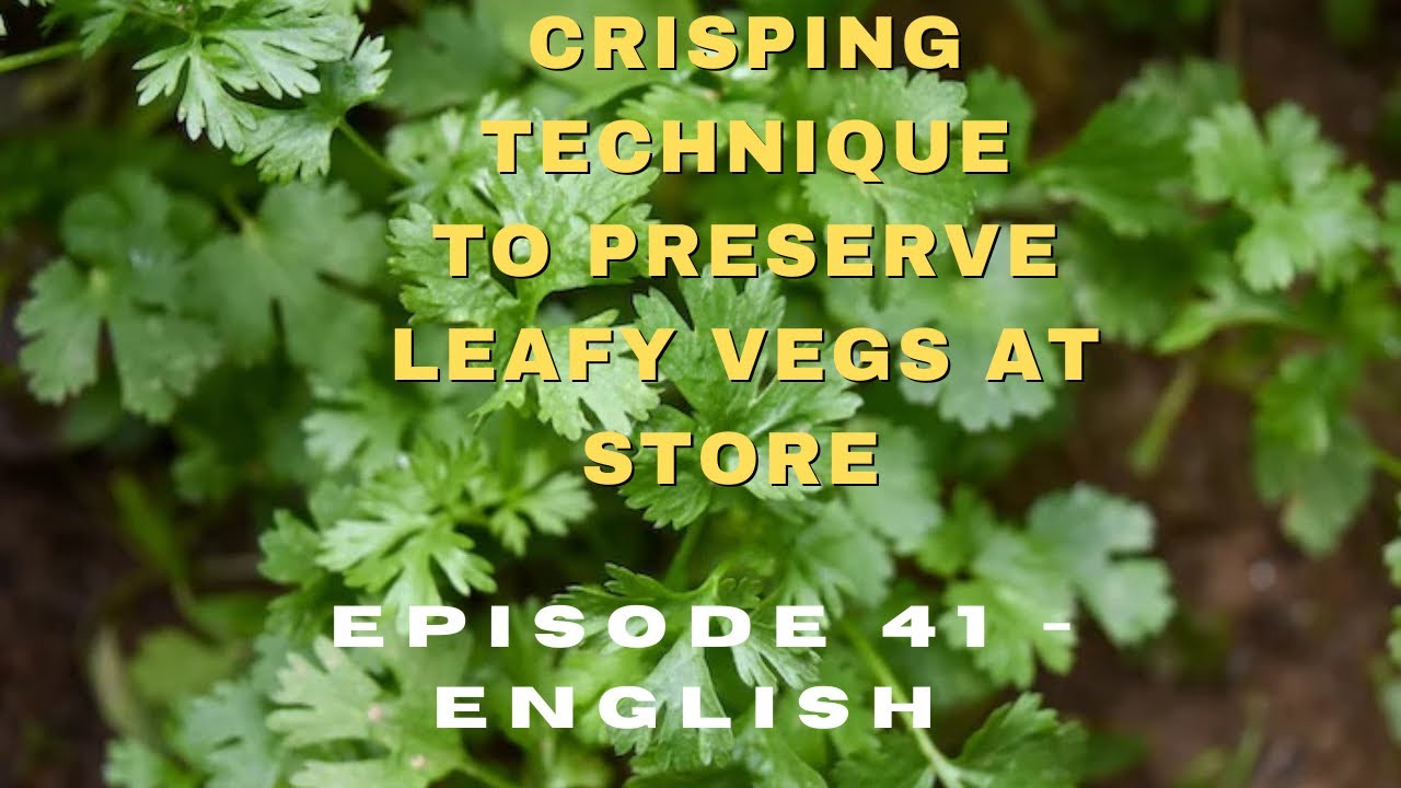 How to do crisping of leafy vegetables to increase its shelf life ...