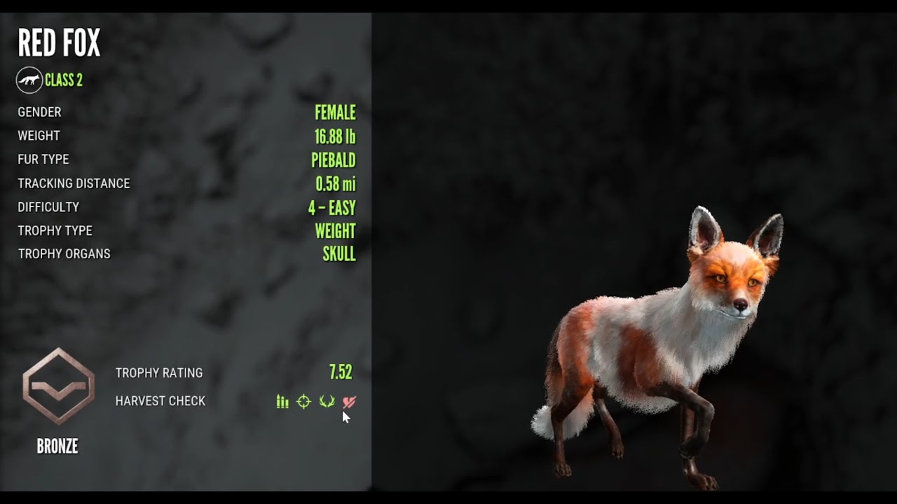 Messed Up on Rare Fur Type theHunter COTW - YouTube