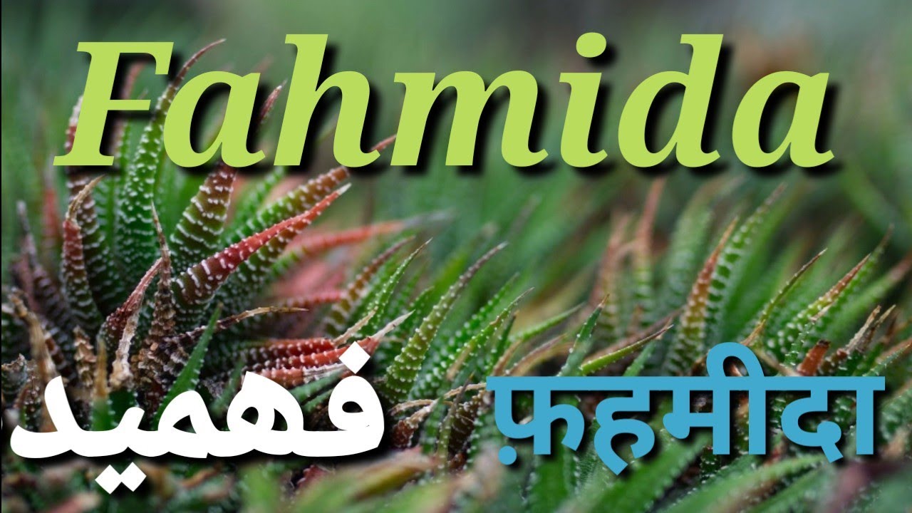 Fahmida Name Meaning | Fahmida Name Status | Fahmida Name WhatsApp ...