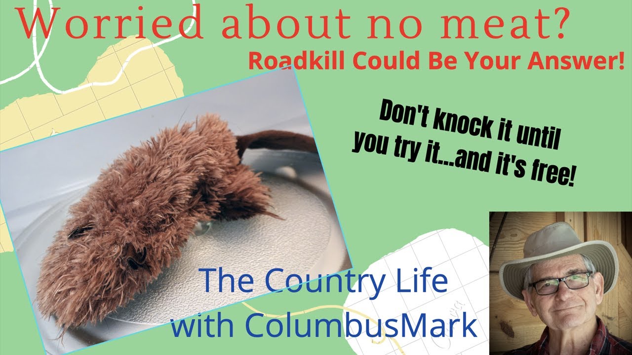 Roadkill Tricks - Finding Food in These Tough Times - YouTube