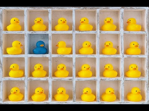 Custom VS Off-The-Shelf Solutions - Sage Advice: Episode 30