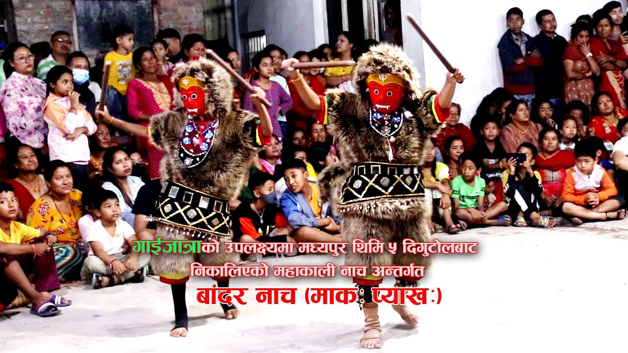 बाँदर नाच (माकः प्याखः), मध्यपुर थिमि दिगुटोलबाट आयोजित महाकाली नाच ...