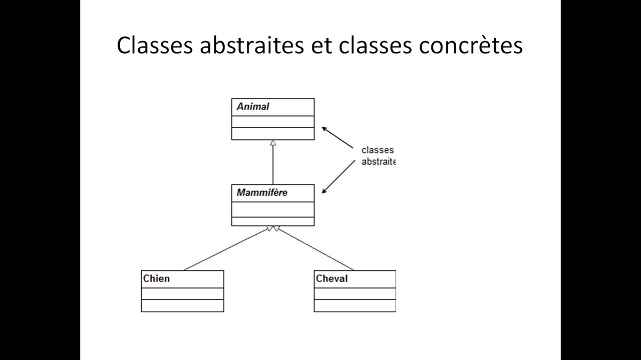 POO: héritage et polymorphisme - YouTube