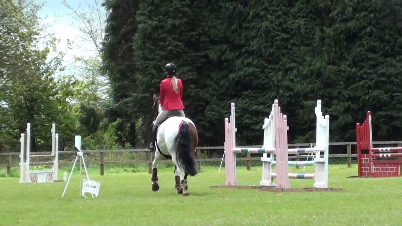 Unique Alexis British Novice 3rd Place, Bicton Arena - BSJA Showjumping ...