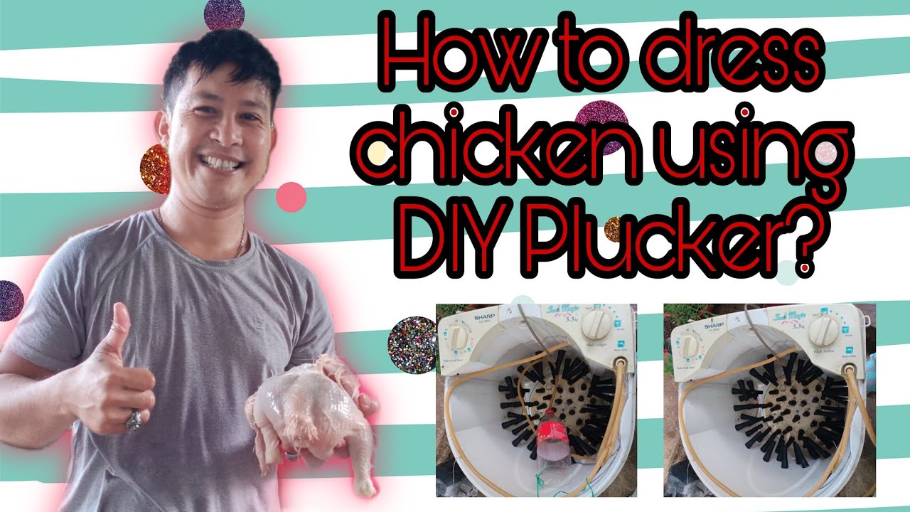 How to dress chicken using DIY plucker? | Paano magkatay ng manok gamit ...