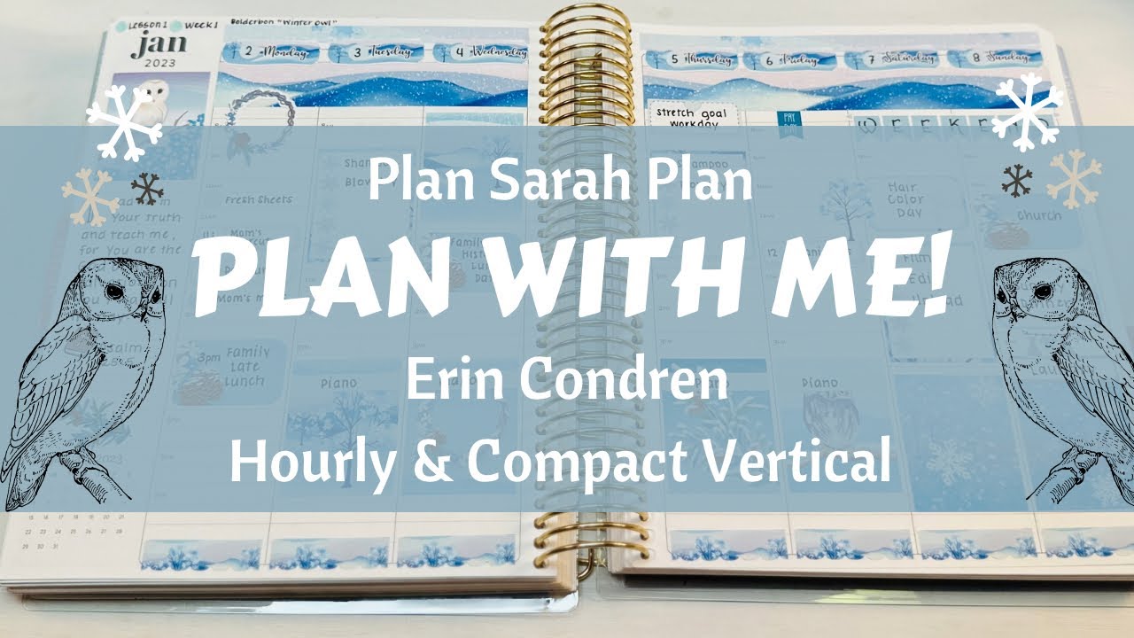 Plan With Me! | Jan. 2-8 | EC Hourly & Compact Vertical | “Winter Owl” theme from Bolderbon ...