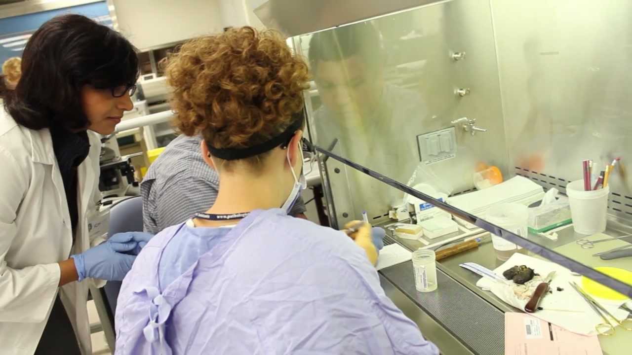 Anatomical Pathology Residents at Queen's University - YouTube