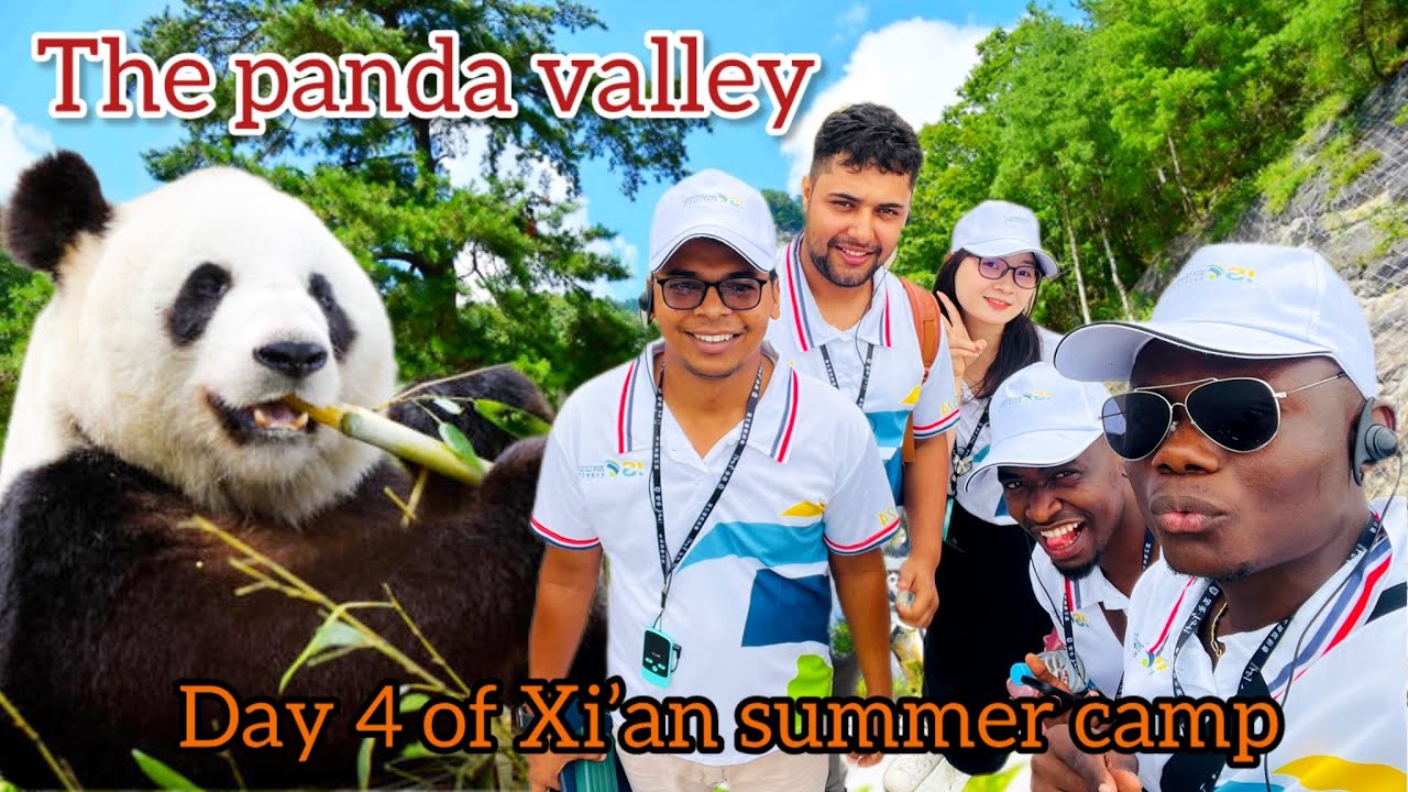 Panda Valley Tour: Up Close with Cute Pandas in China || Day 4 of Xi'an ...