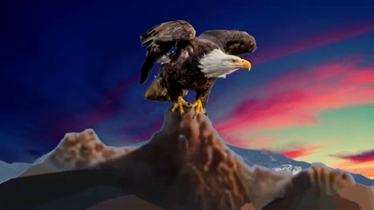 Annoying Orange: Orange's Big Picture Show - Opening Logos - YouTube