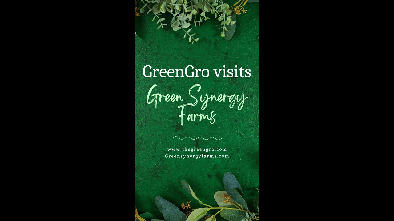 GreenGro visits Green Synergy Farms - YouTube