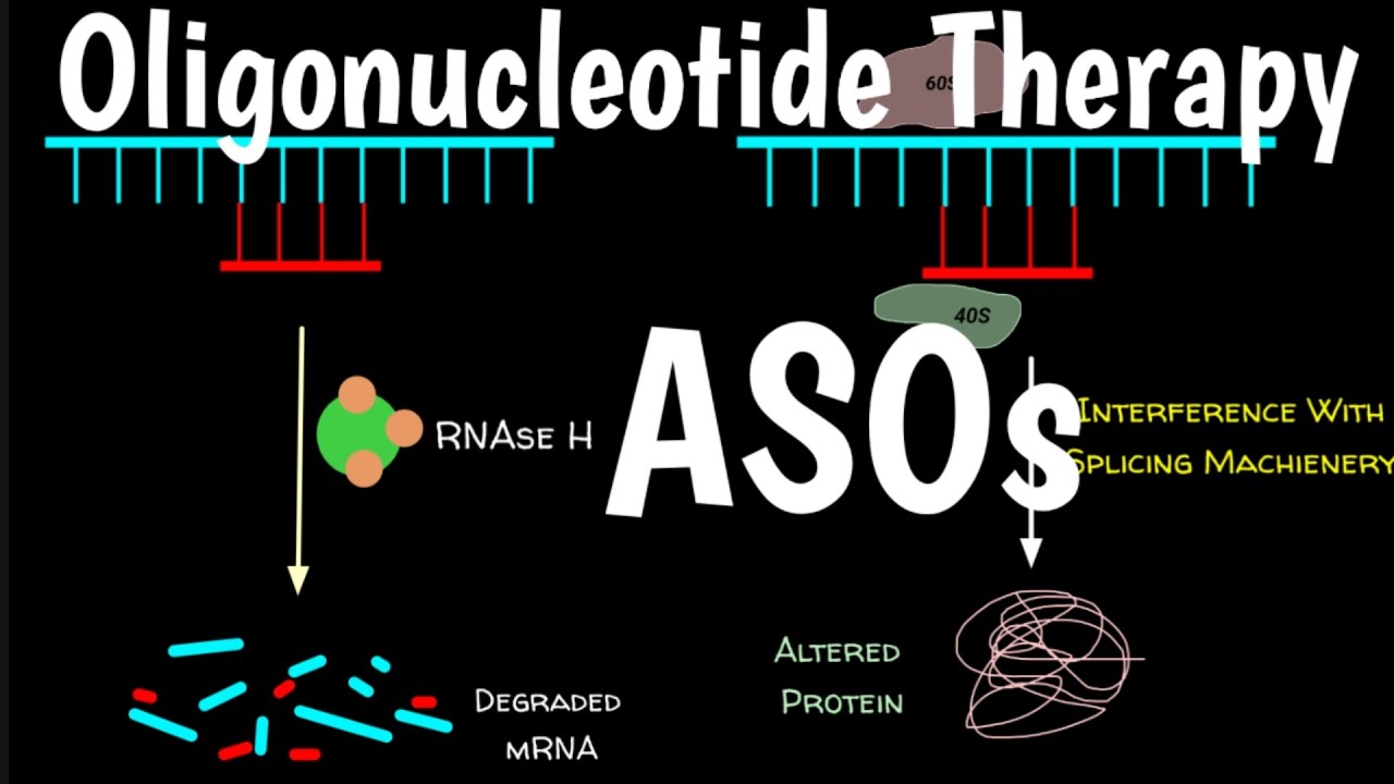 Antisense Oligonucleotides | Fixing Genes With ASOs | Oligonucleotide ...