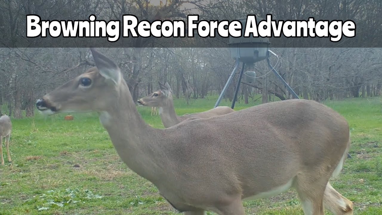 Deer Feeder #1: Browning Recon Force Advantage Dec. 14, 2023 - YouTube