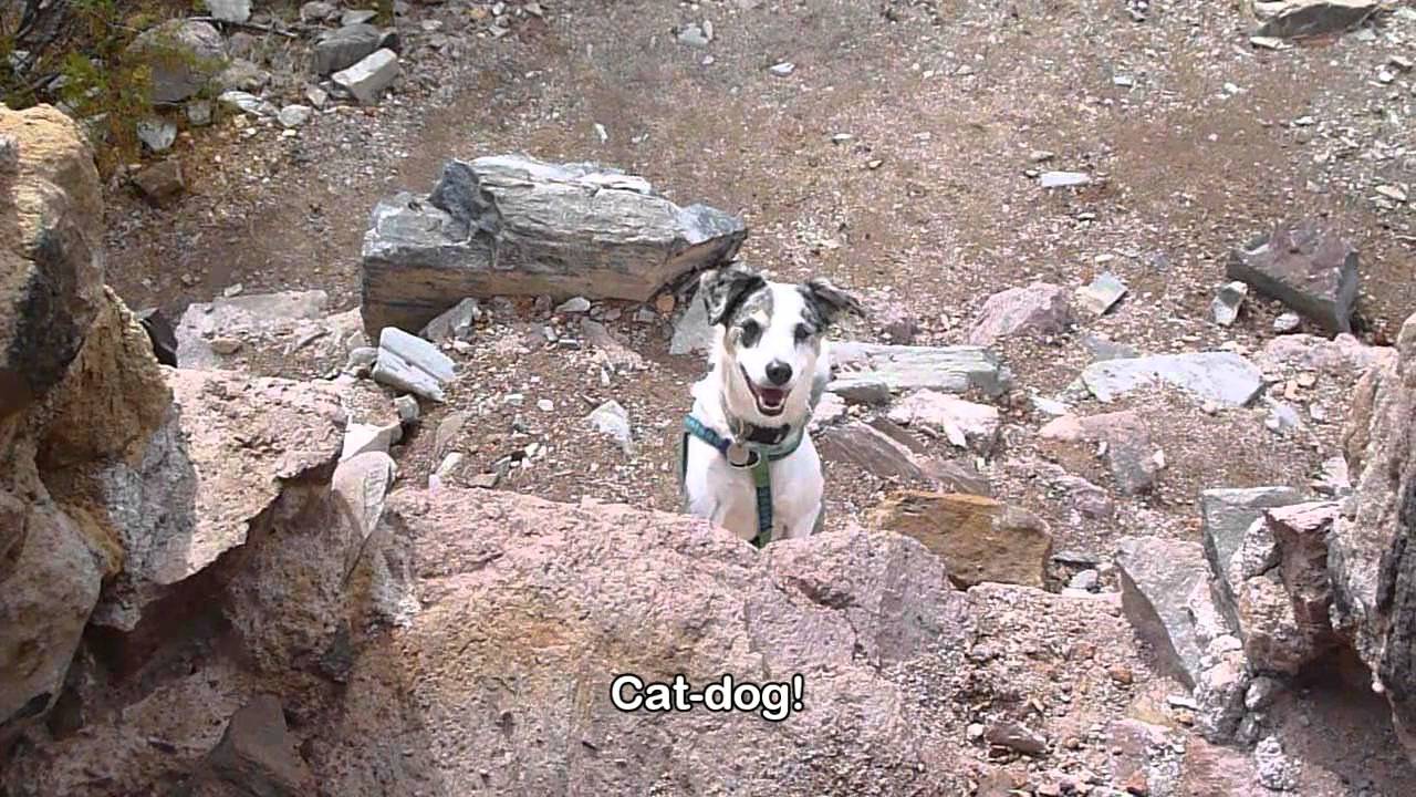 Reymert Ghost Town and the Sugar Shack - YouTube