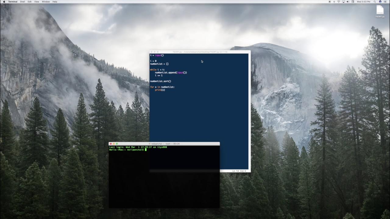 Codechef | Turbo sort - TSORT | Python - YouTube