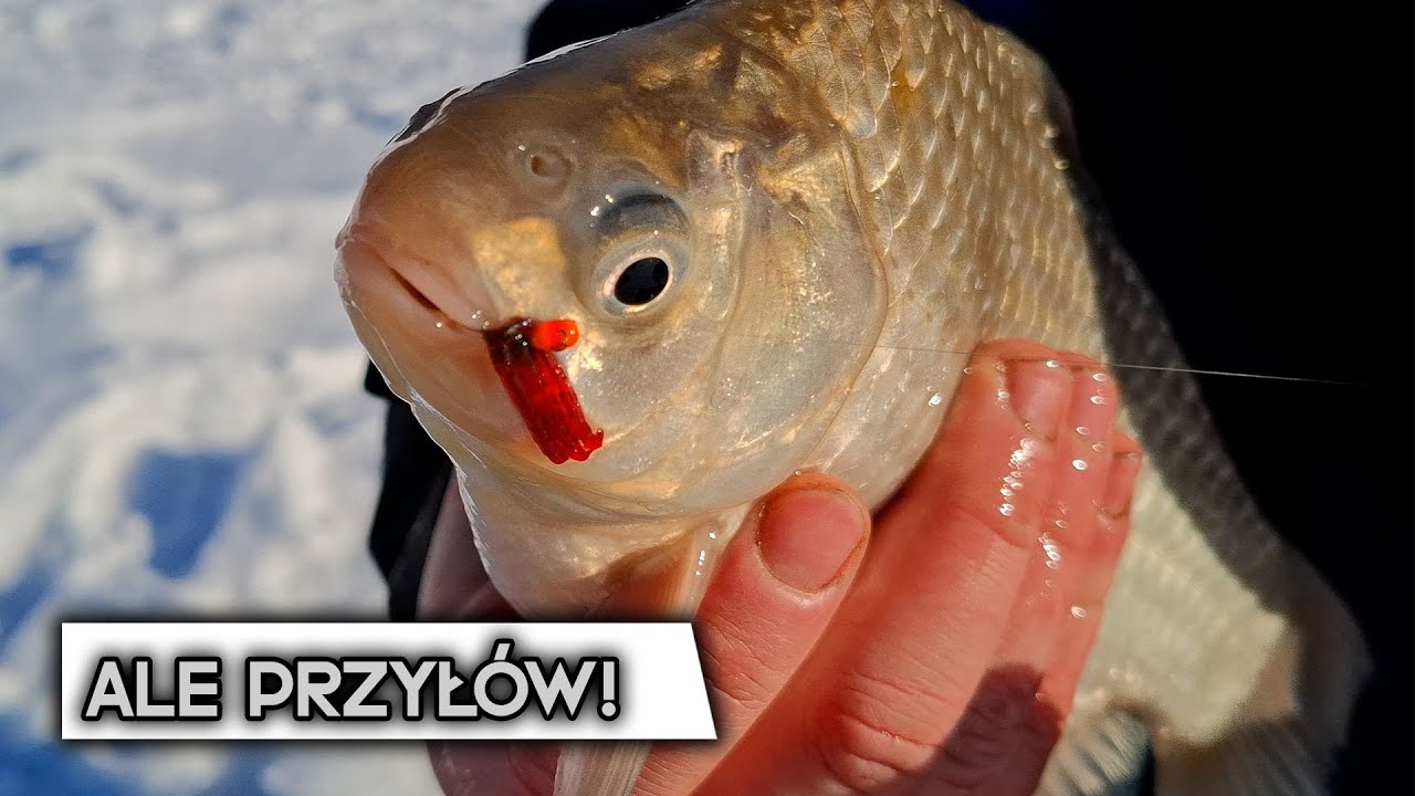 (32) ALE PRZYŁÓW! MINUS 14 NA LODZIE! - YouTube