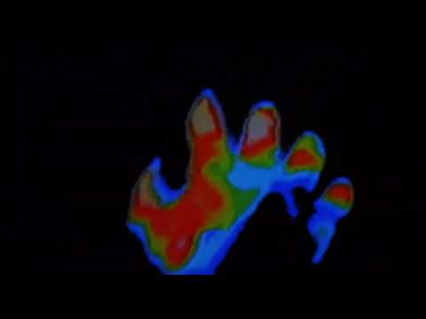 Predator (1987) - A Stalker in the Jungle