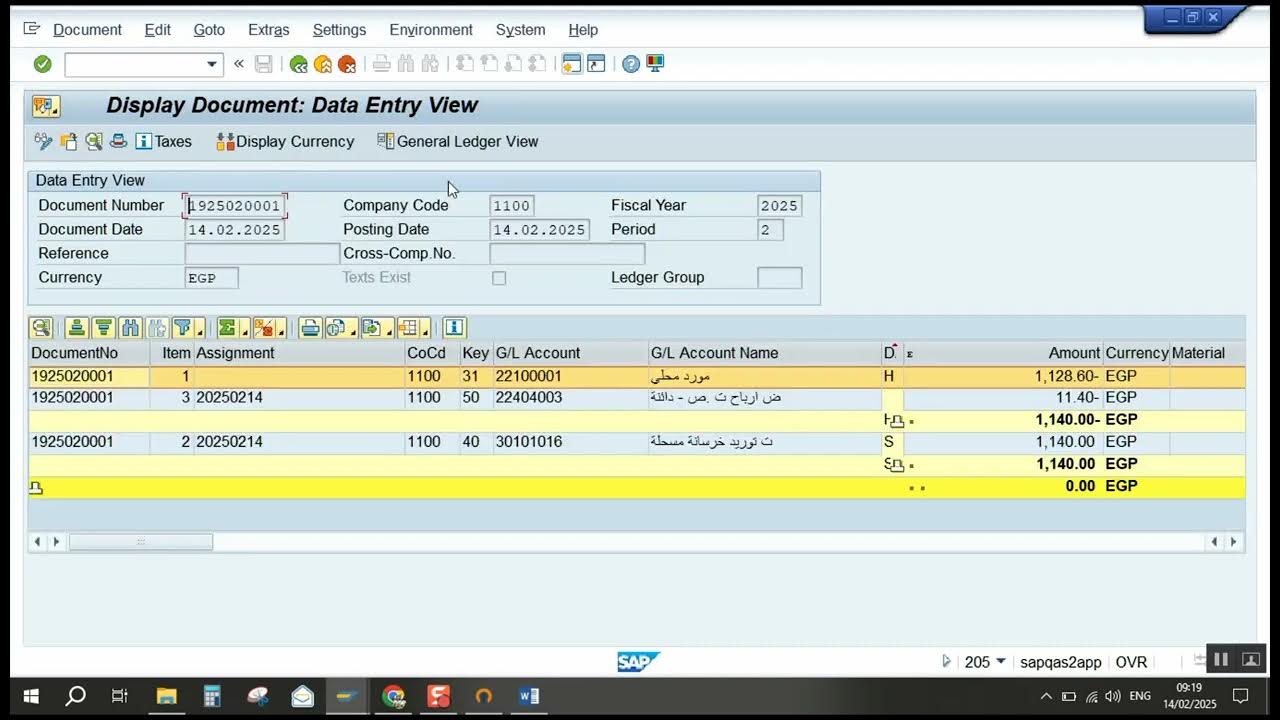 How to use code (FB03) to display a financial document. - YouTube