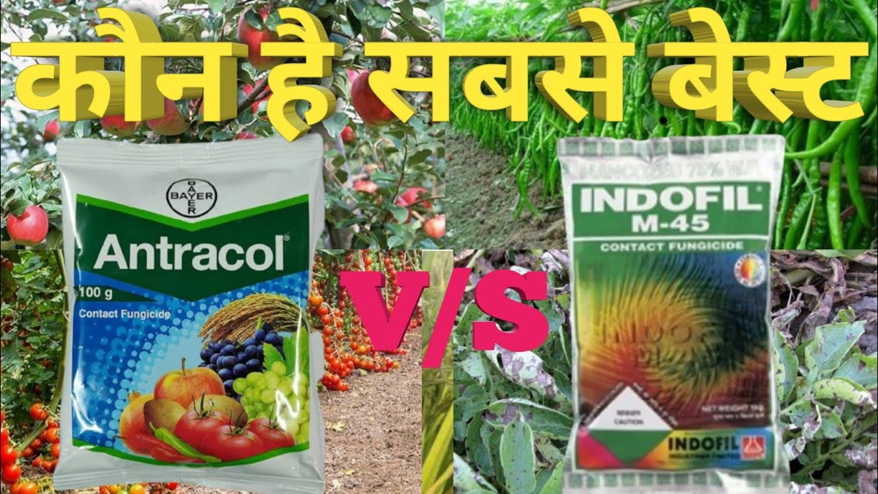 Propineb vs mancozeb। antracol vs m45। Bayer antracol। indofil m45 ...