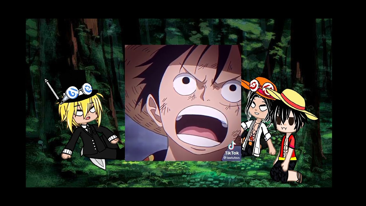 ASL react lawlu - YouTube