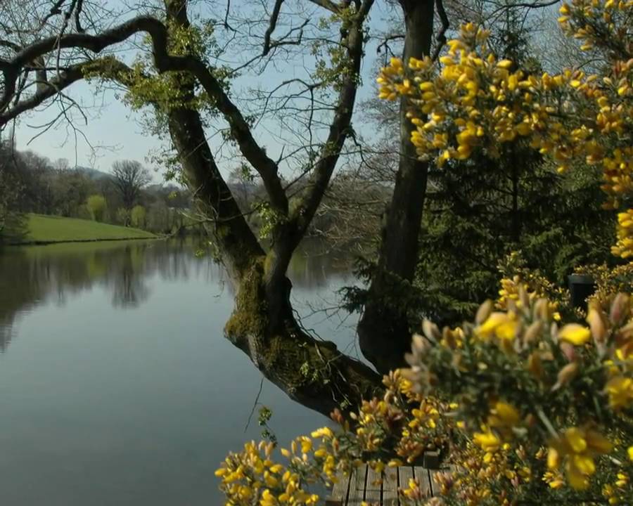 Morgens Um Sieben - YouTube