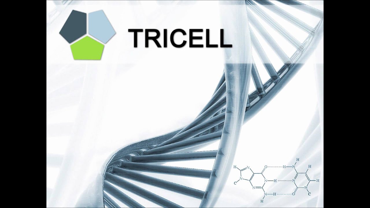 Resident Evil: Evolution (Fan-Film 2012) Teaser Trailer - YouTube