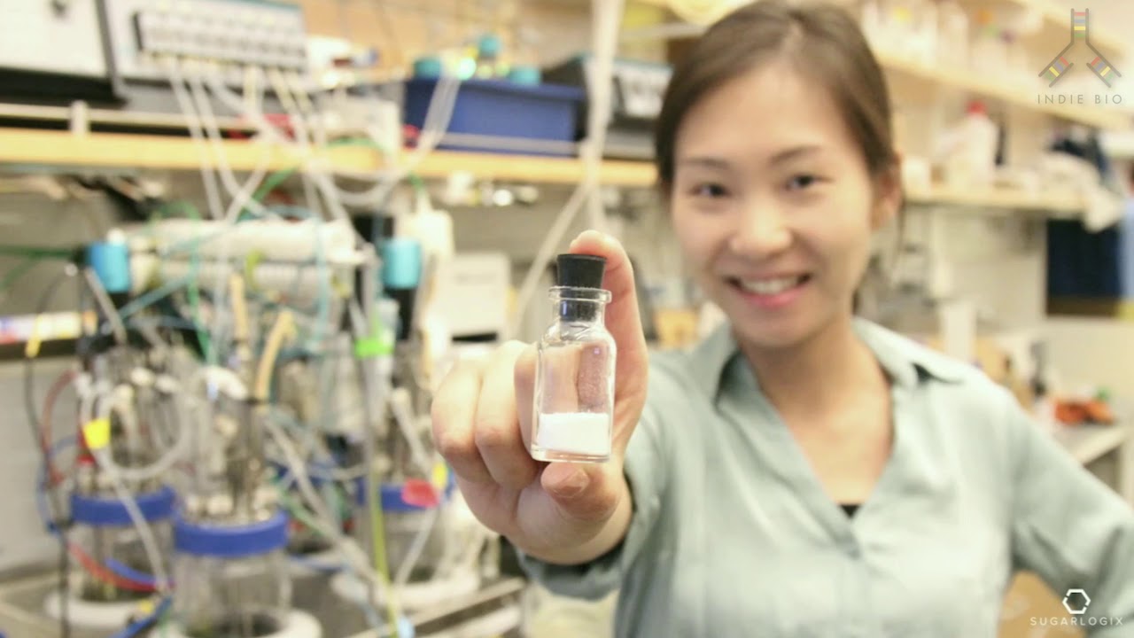 Indie Bio - Demo Day #5 - Sugarlogix - YouTube