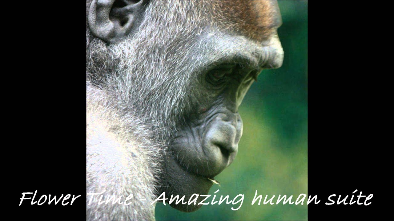 Flower Time - Amazing Human Suite (Full Album) - YouTube