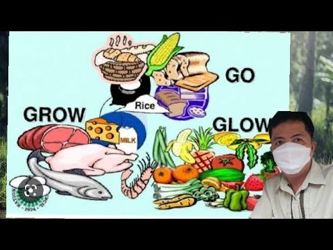 Mga Pangkat ng Pagkain/Go/Grow/Glow Foods - YouTube