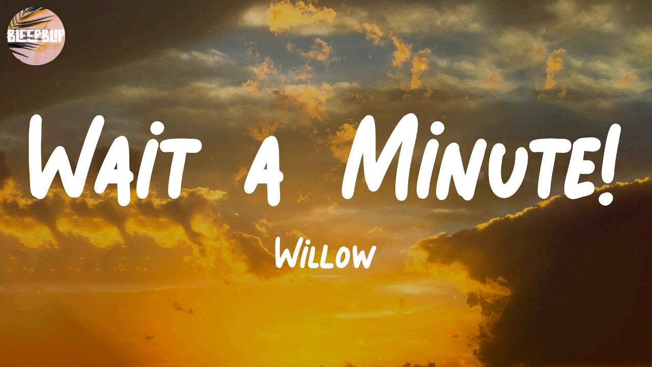 Wait a Minute! (Lyrics) - Willow - YouTube