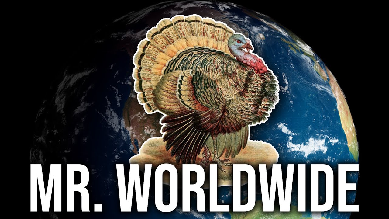 What Exactly is: Turkey | Natural History of the Thanksgiving Bird ...