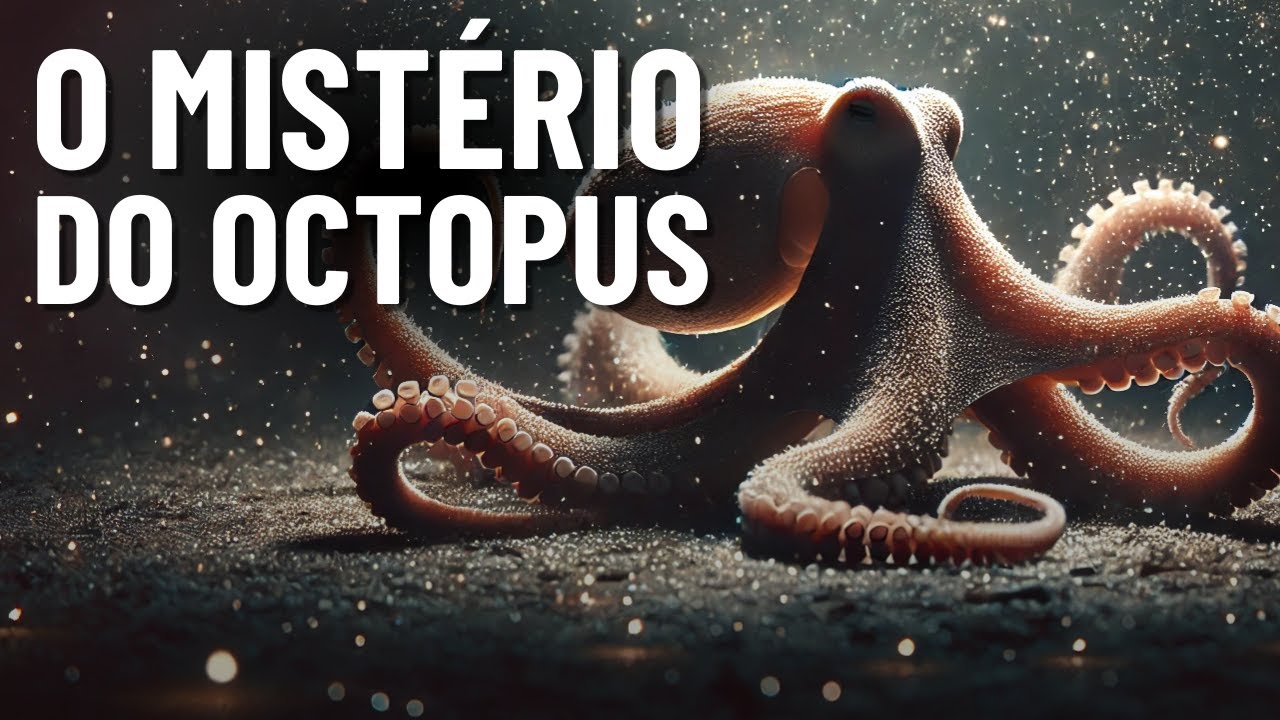A Misteriosa Biologia do Polvo - YouTube