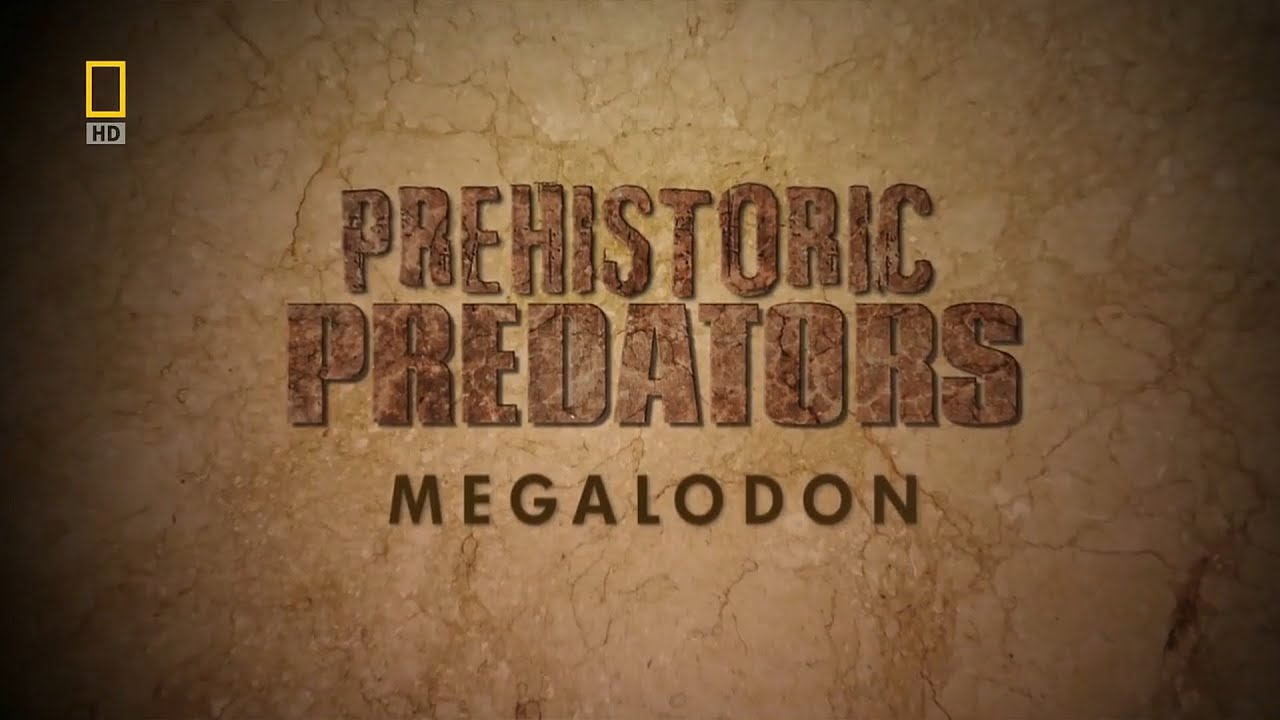 Prehistoric Predators - Ep 4 Megalodon (2009) - YouTube