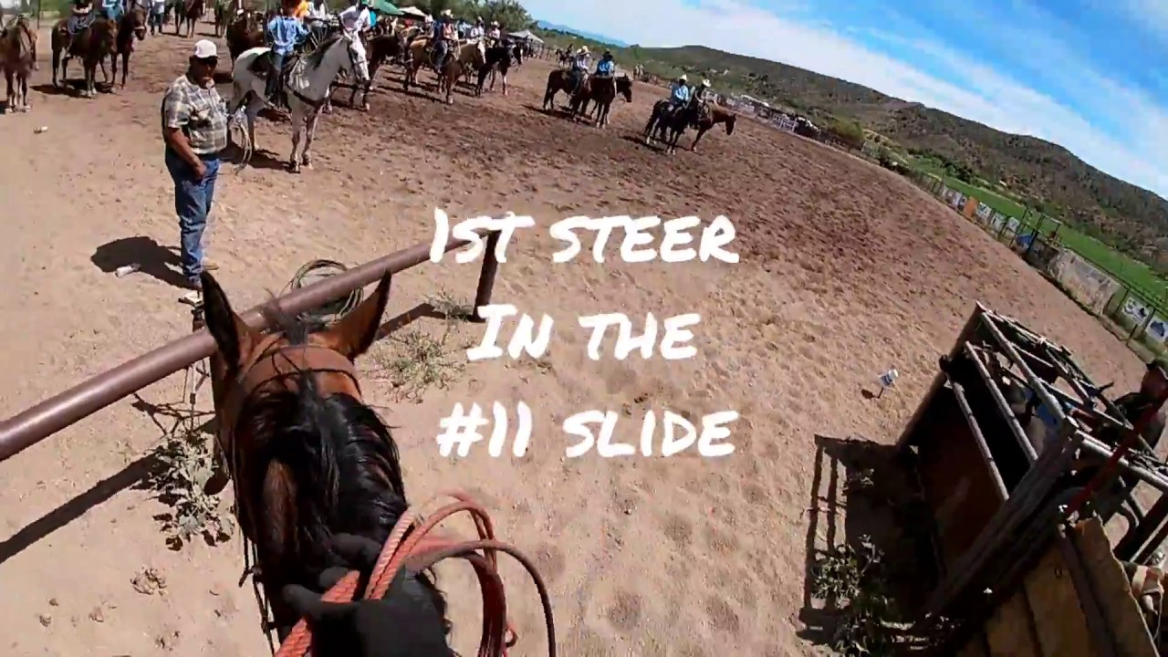 Team Roping 2019 (Arizona) Three Buckles - YouTube