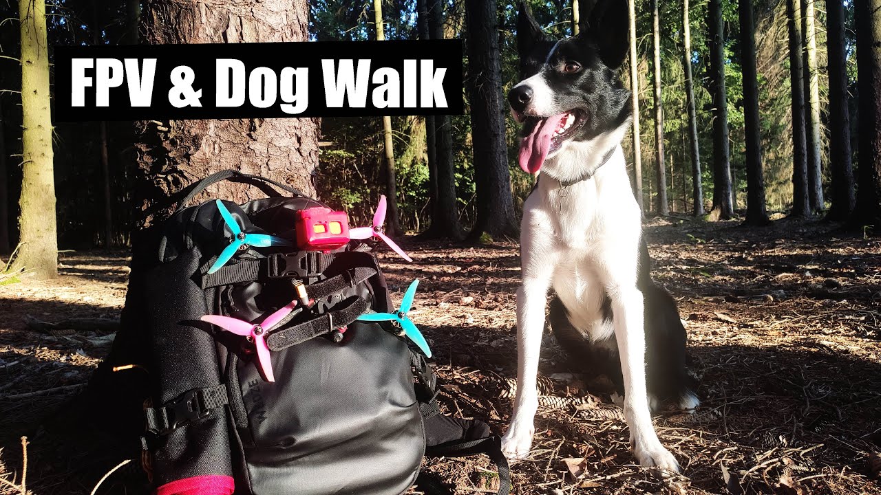 FPV Freestyle on a Dog Walk - YouTube