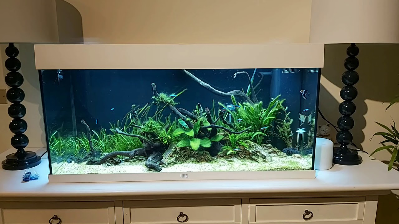 Juwel Rio 180 - YouTube
