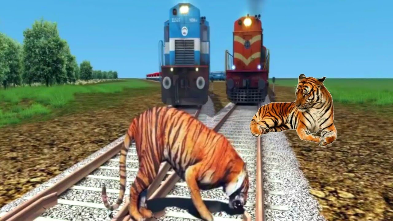 Giant Tiger Vs Two train | stops the train | Trains Crossing Each other ...