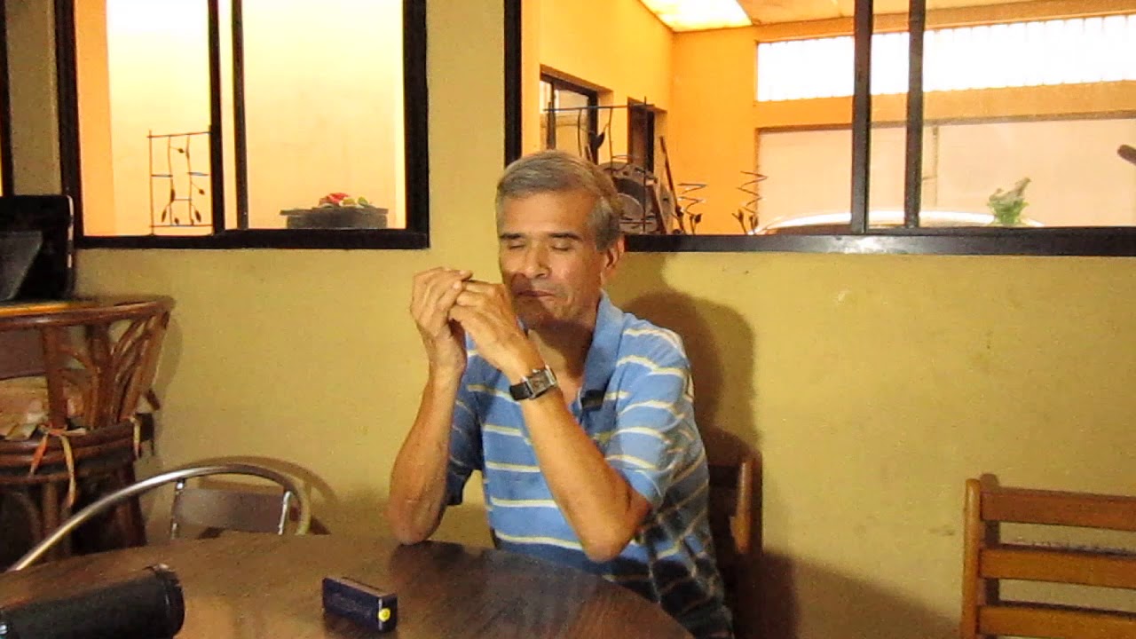 Hohner Silver Star Harmonica Review by Johnny Ulloa - YouTube