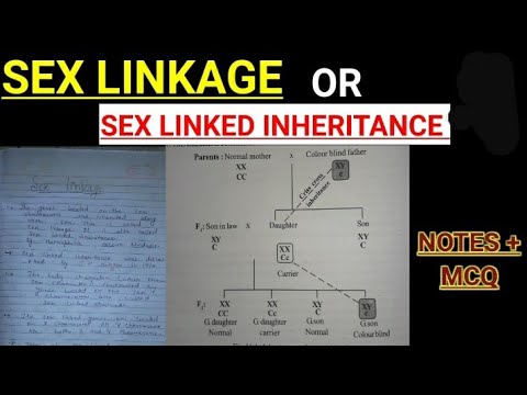 Sex linkage or sex linked inheritance complete notes with explanation # ...