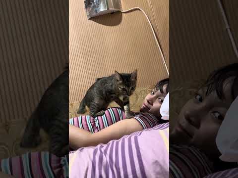 Susissititutituli aja ga mau cium adek wkwkkw