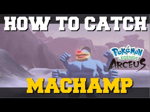 HOW TO CATCH MACHAMP IN POKEMON LEGENDS ARCEUS (ALPHA MACHAMP LOCATION ...