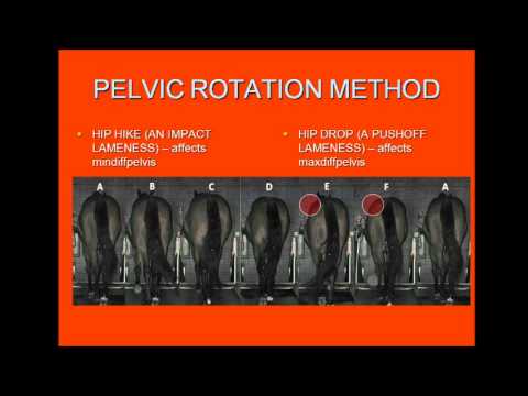 pelvic rotation explained - YouTube