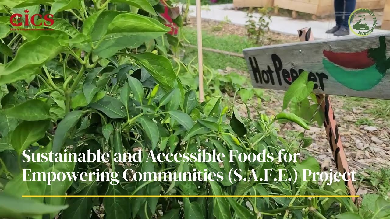 Sustainable and Accessible Foods for Empowering Communities (S.A.F.E ...