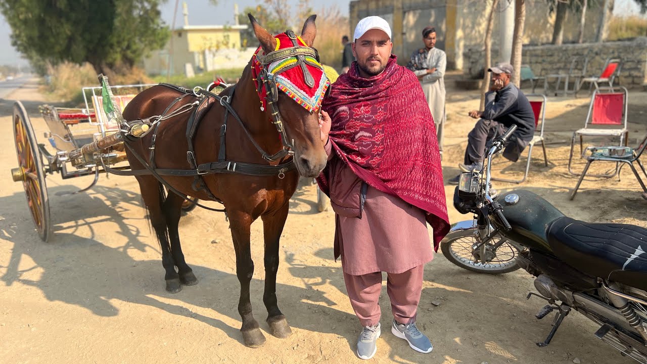 Balla sulatan ||Asad Ali , ummar farooq 🦅😘 ️ - YouTube