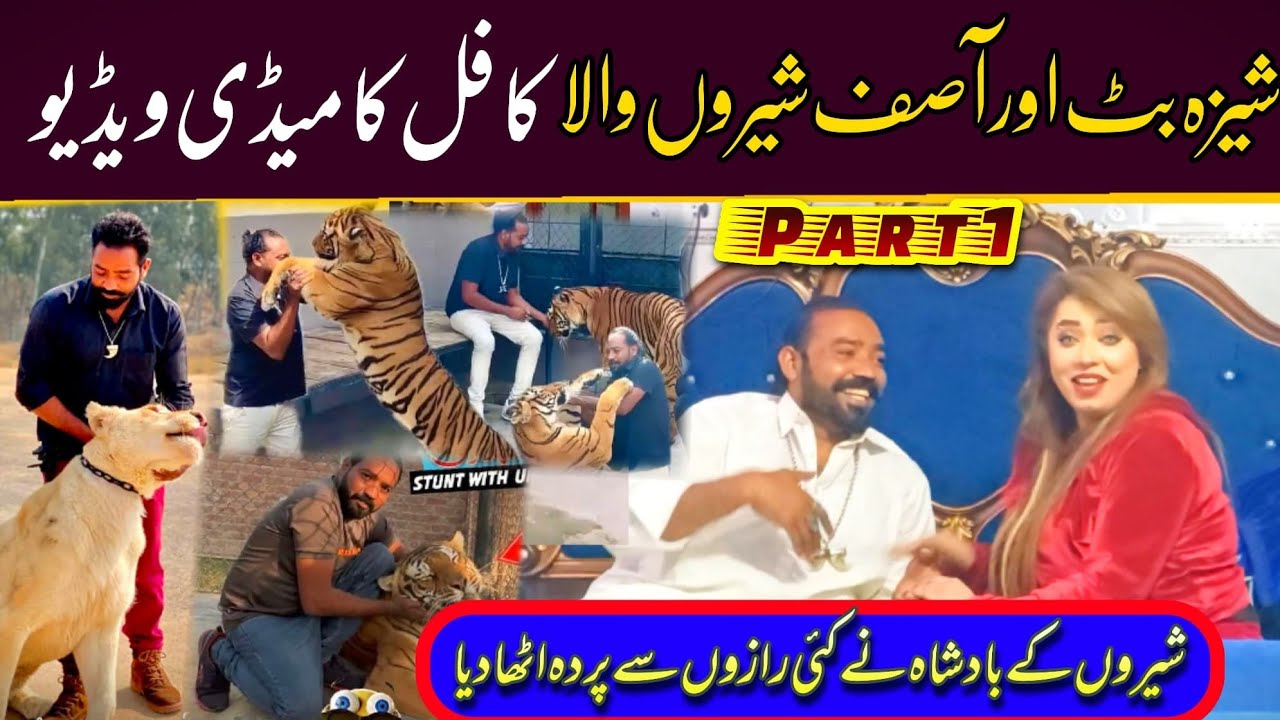 Sheeza butt with Asif shero wala full comedy exclusive interview 2025 | Part1 - YouTube