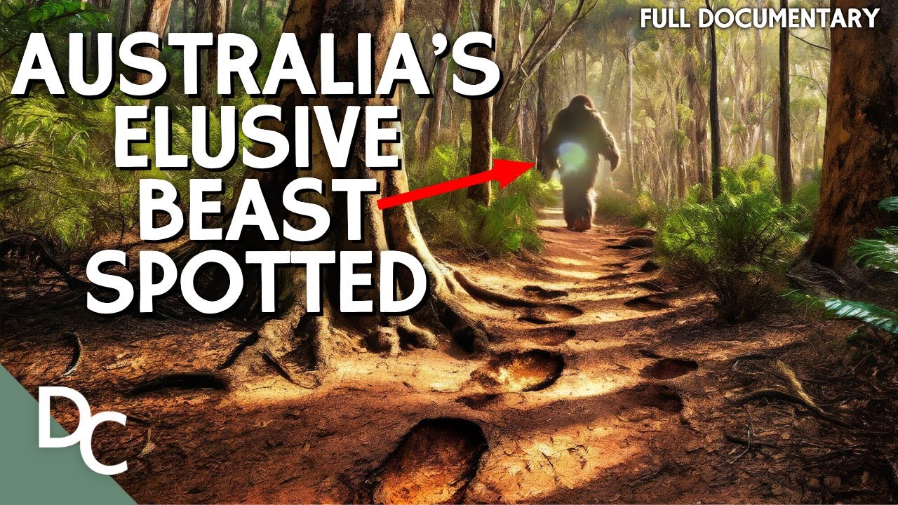 YOWIE: The Legend of the Australian Bigfoot | Boogeymen | Documentary ...